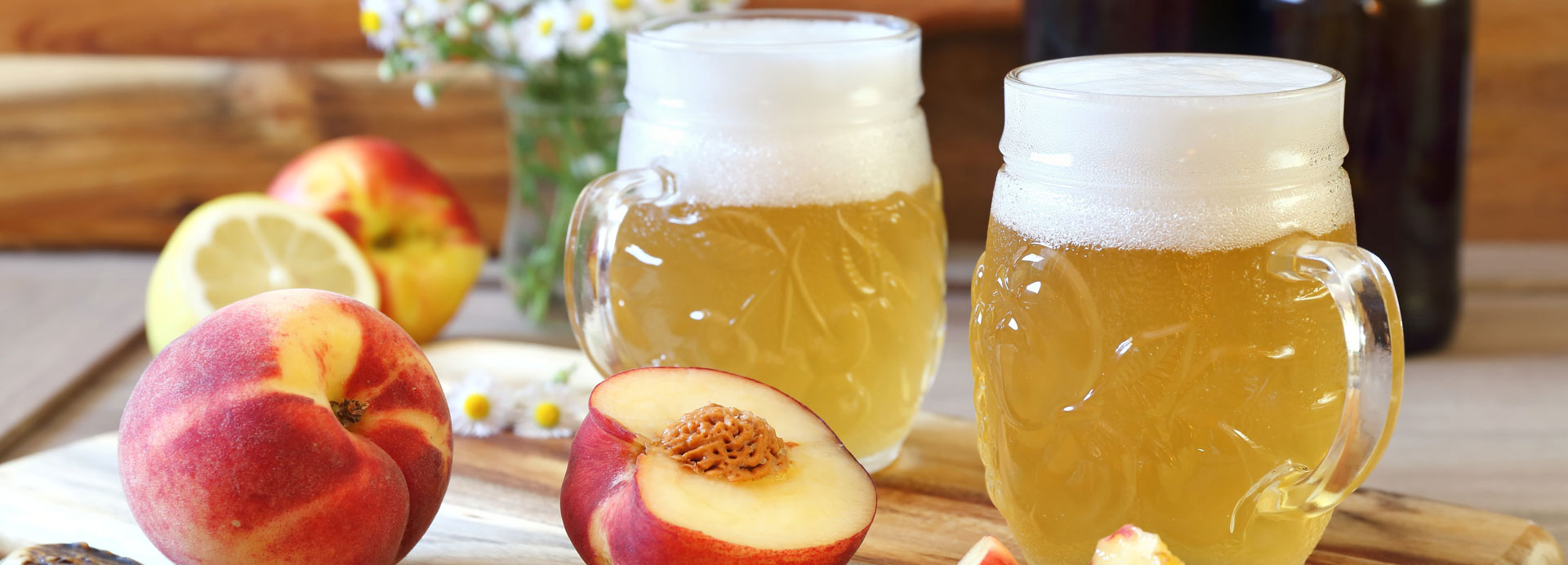 Brewery Souring Agents - Hawkins